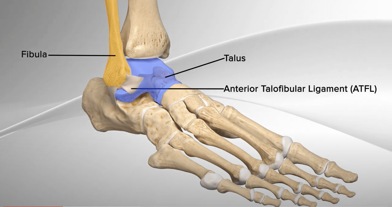 Customer story: Arthrex (Medical Training) | Voicearchive.com